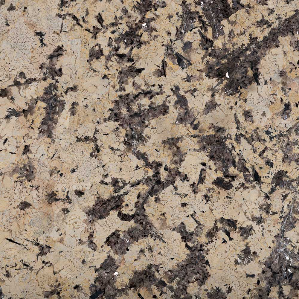 Splendour Cream 2 CM